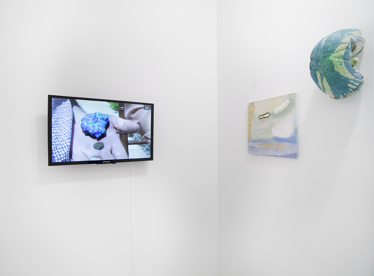 Julia Colavita — 2019 - Julia Colavita